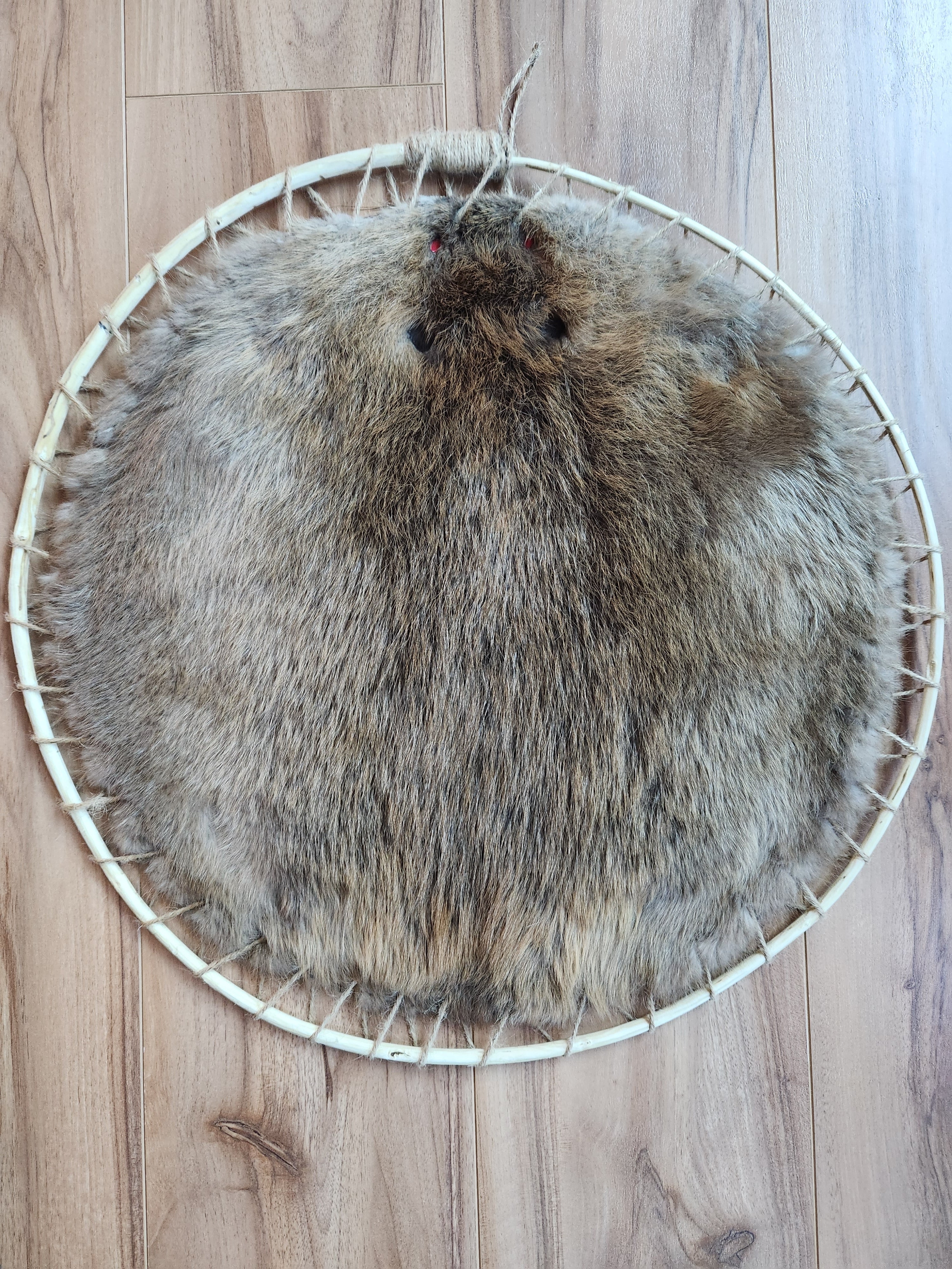 Hooped Beaver Hide – THE IDAHO FUR SHACK