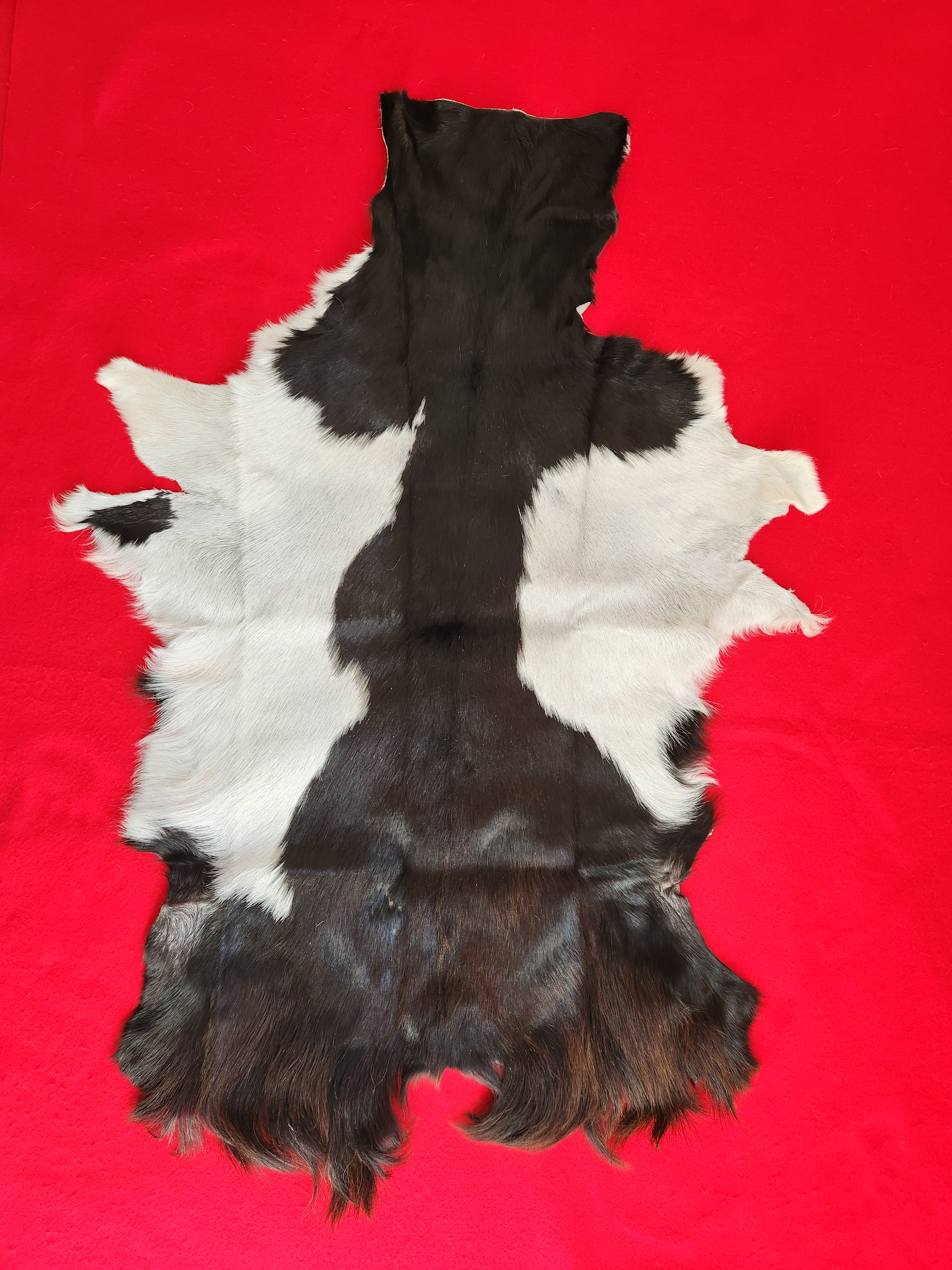 Goat 45" x 26" – The Idaho Fur Shack