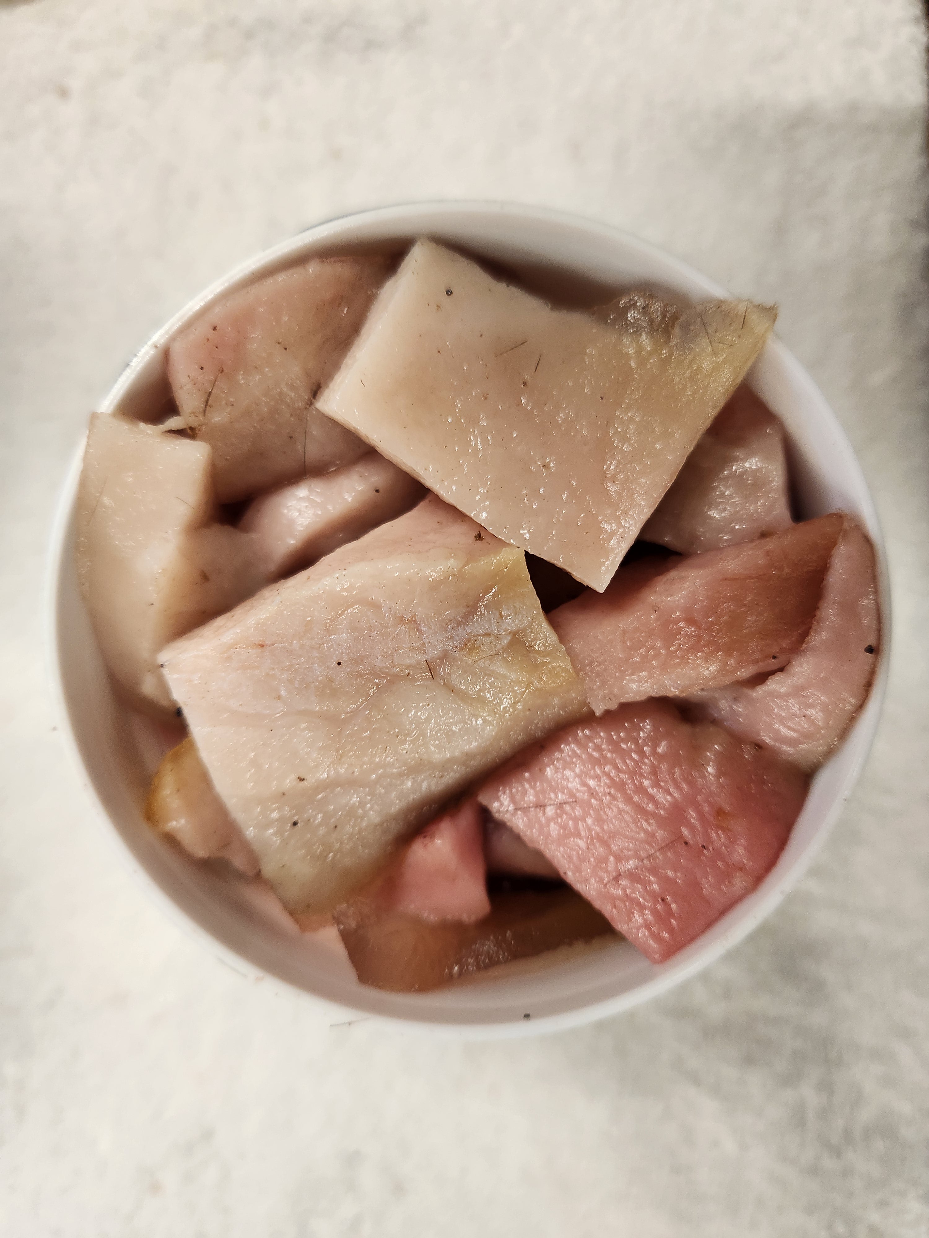 Raw Beaver Tail Fat – THE IDAHO FUR SHACK