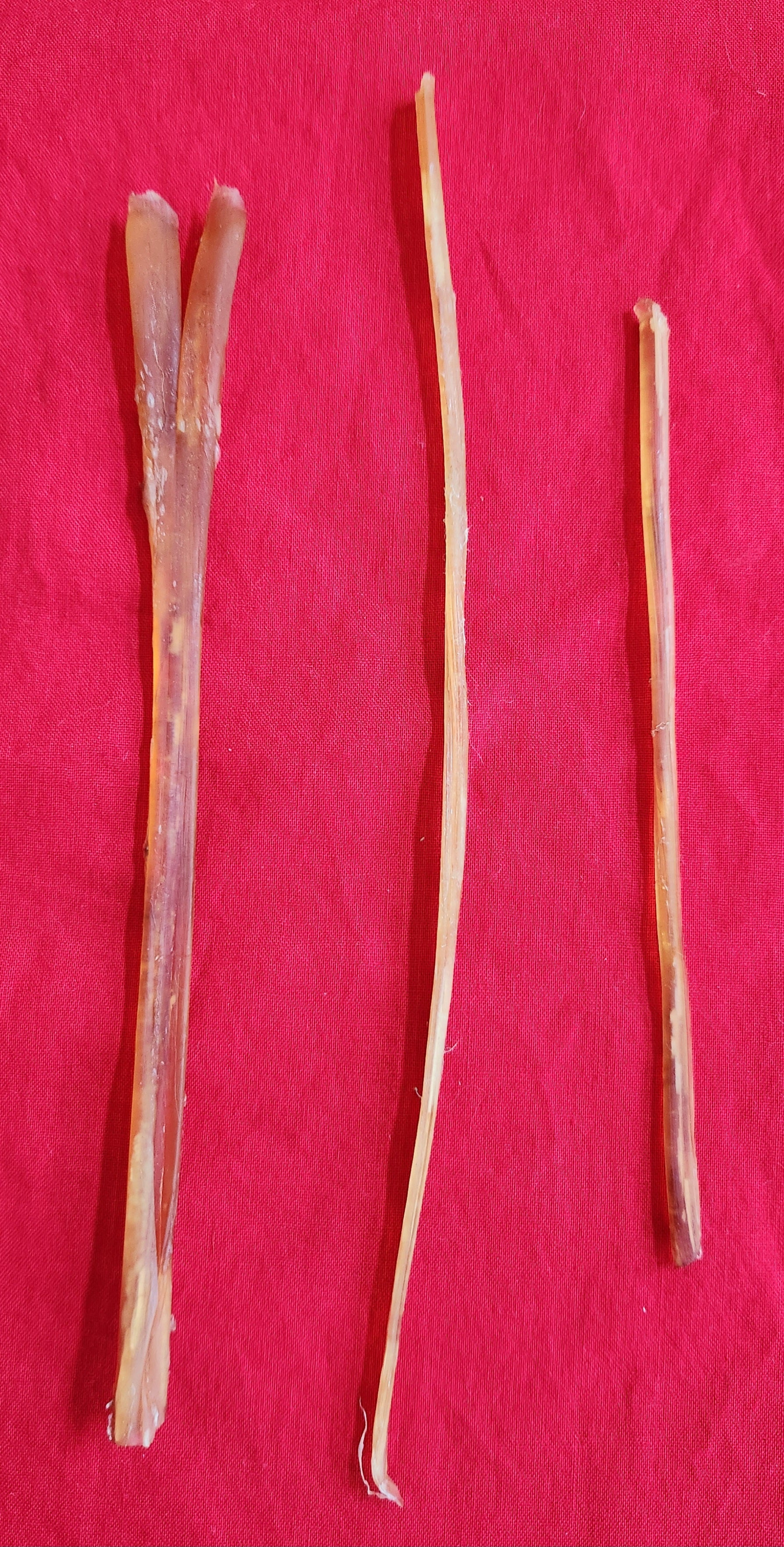 Elk Sinew – THE IDAHO FUR SHACK