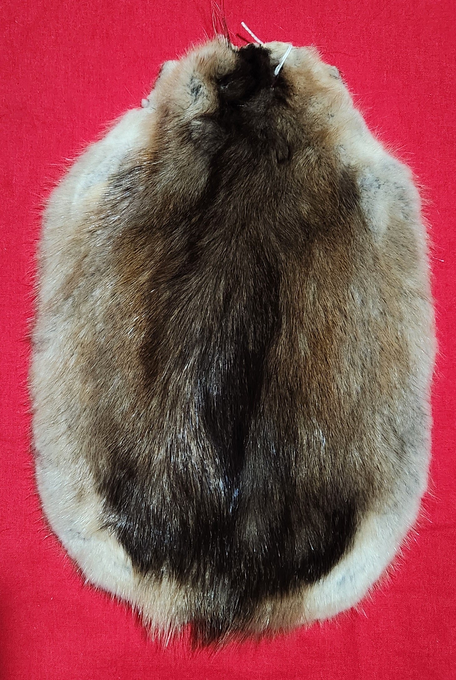 Round Idaho Muskrat Hides - MSK1005 – THE IDAHO FUR SHACK