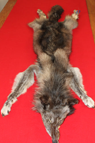 Wolf Hides – The Idaho Fur Shack