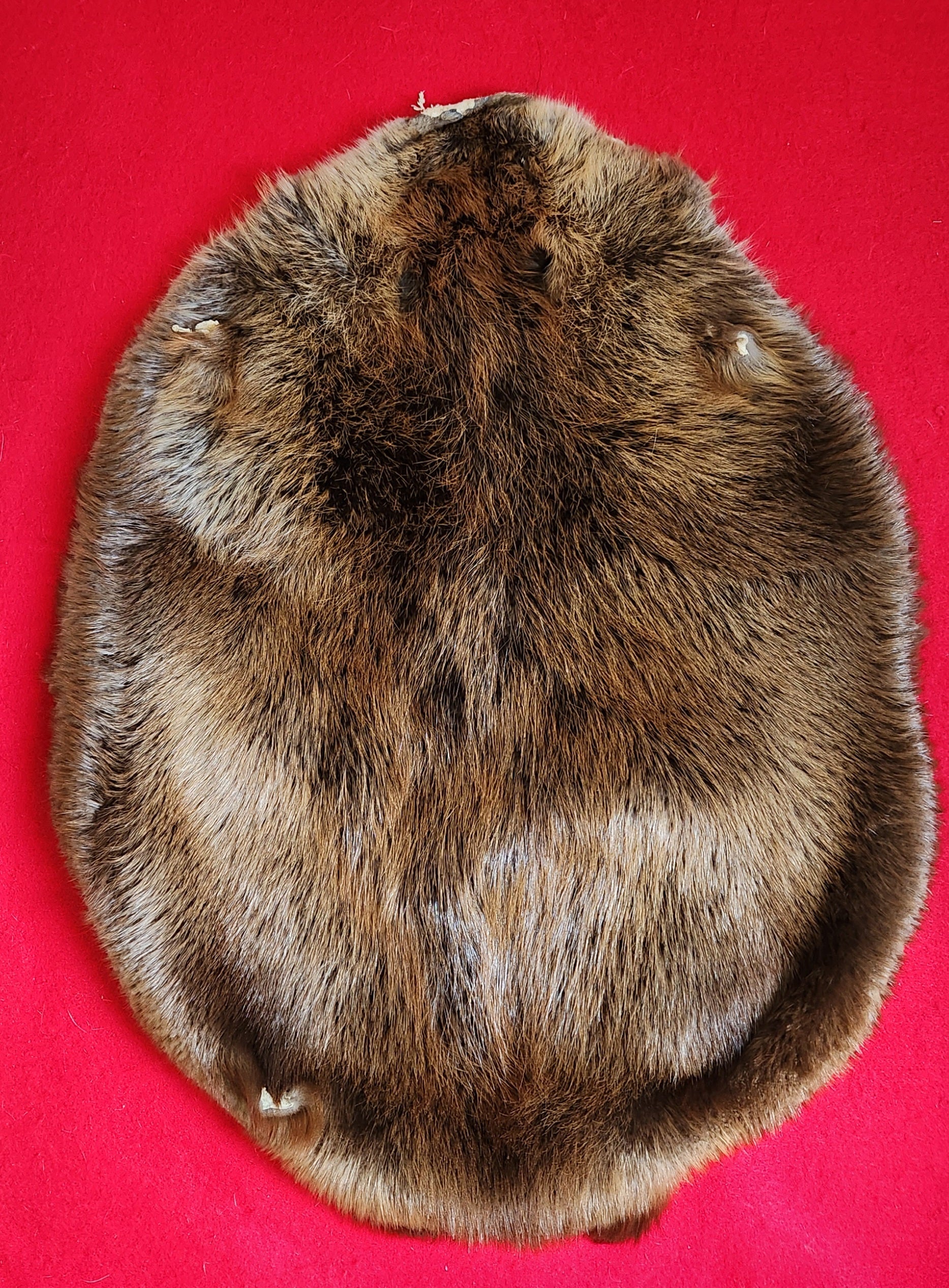 Medium Beaver BVR1033 – THE IDAHO FUR SHACK